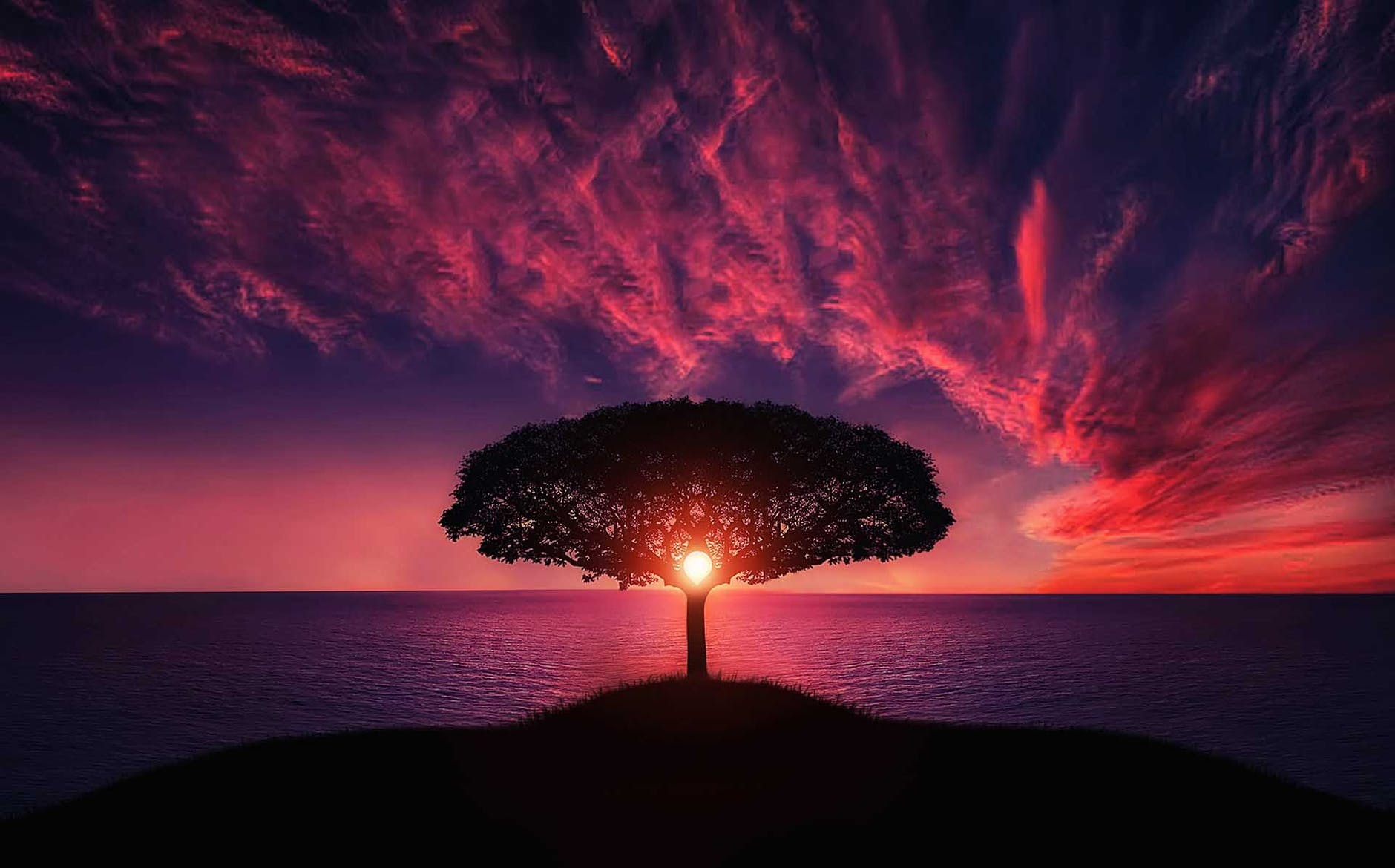 The Gap Year – Bobbi Elman: NeuroDivergent Autistic Experience ...